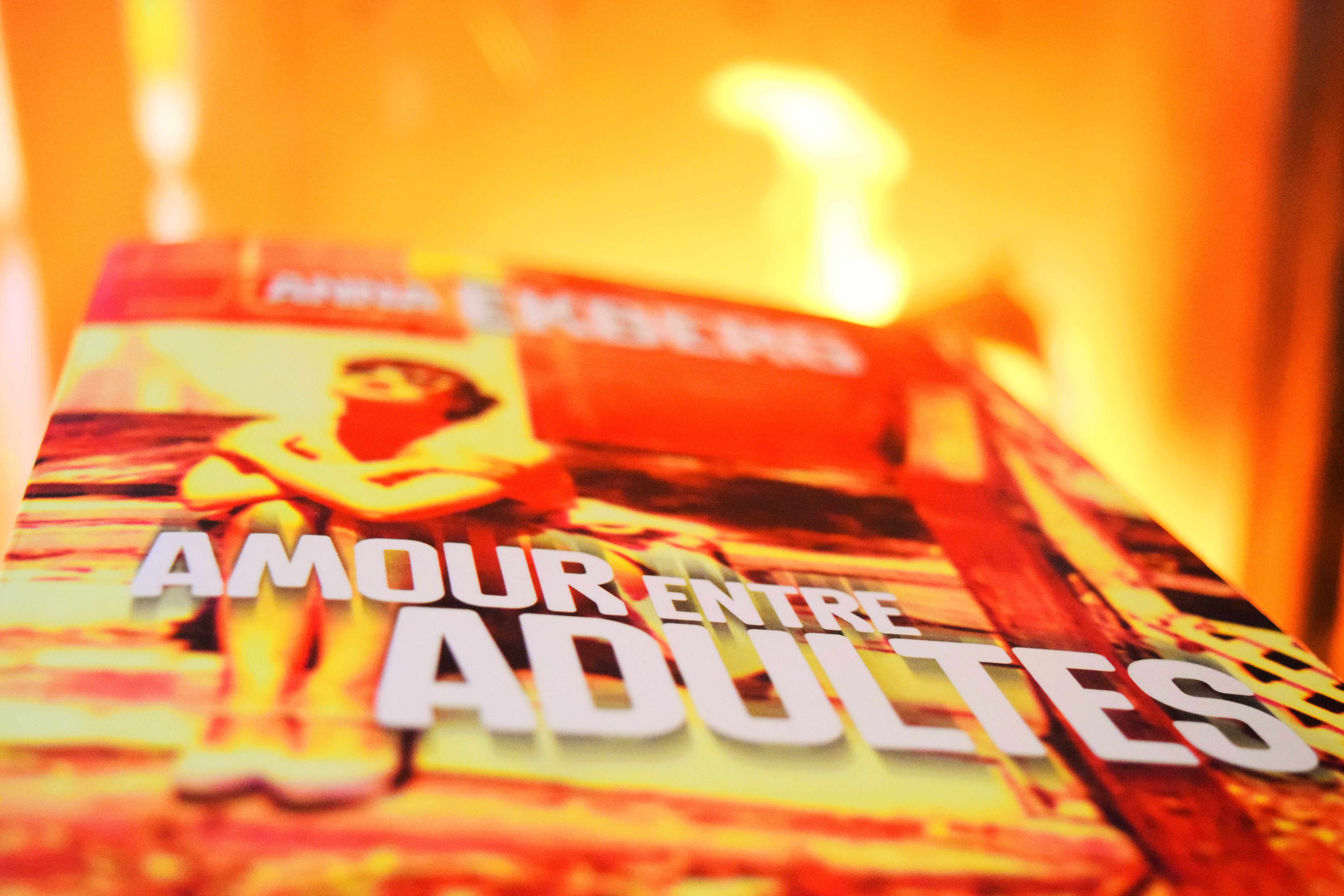 Amour entre adultes, Anne Ekberg | Raison, Lecture et Sentiments